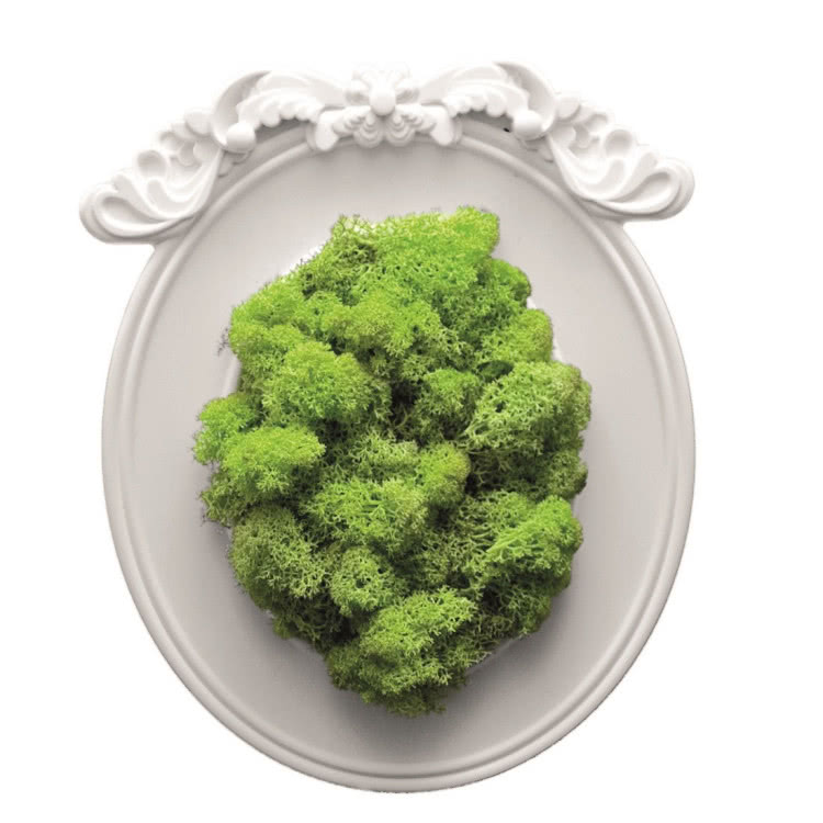 Mech we wnętrzu - zdjęcie 5 | Galeria CzasNaWnętrze