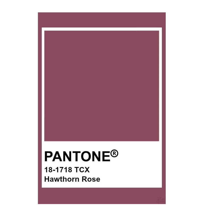 Kolory Pantone - Hawthorn Rose - zdjęcie 1 | Galeria CzasNaWnętrze